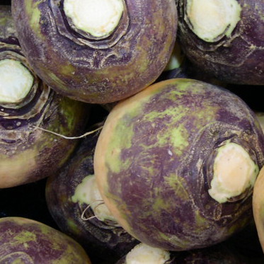 Seizoensgroenten – GroenteGroente.nl