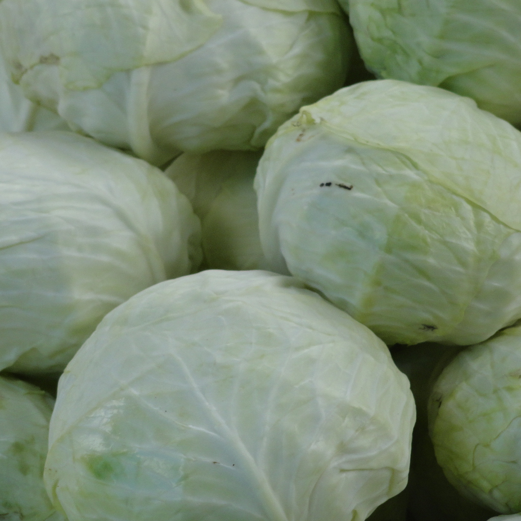 Seizoensgroenten – GroenteGroente.nl