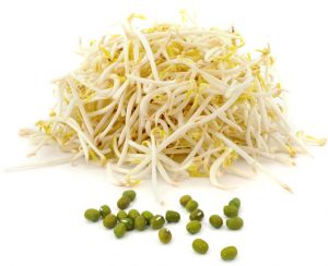 Taugé bereiden: tips en variaties – GroenteGroente.nl