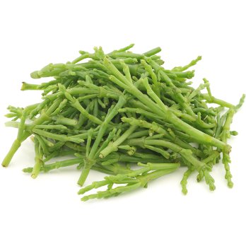 Zeekraal bereiden: tips en variaties – GroenteGroente.nl